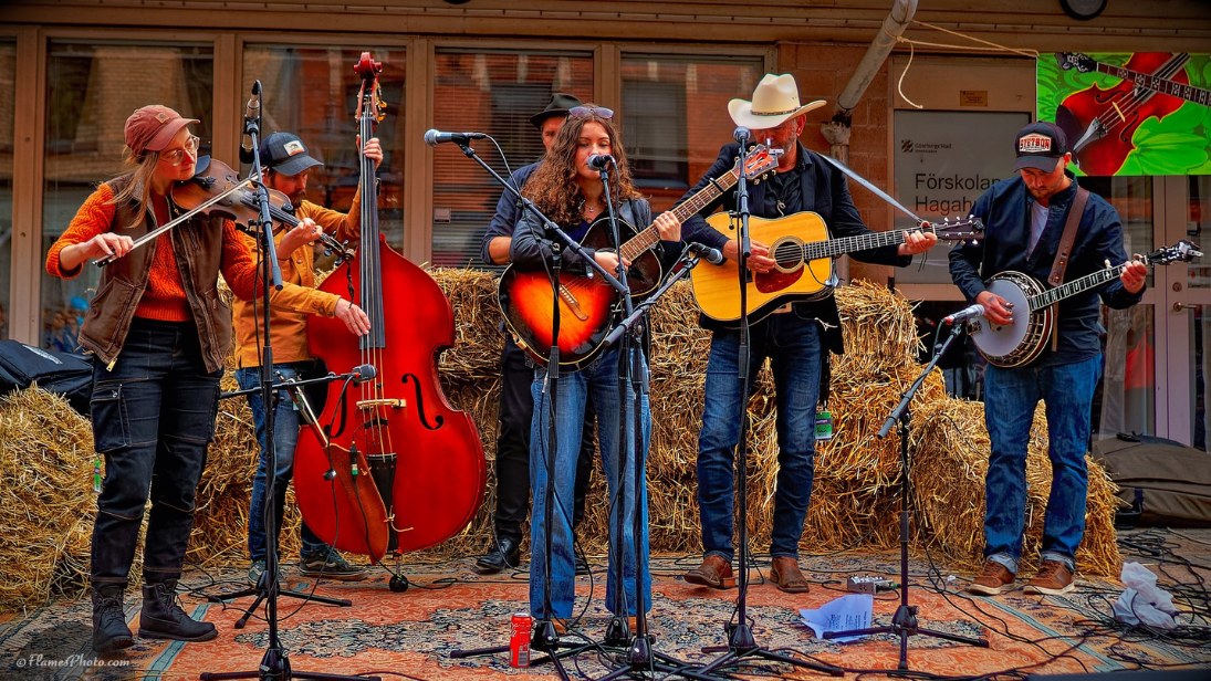 Bluegrass Omagh 2024: Line-Up | Ulster American Folk Park